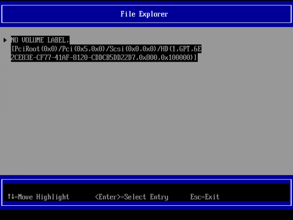 VM hangs: Booting from Harddisk - FireStorm ISP